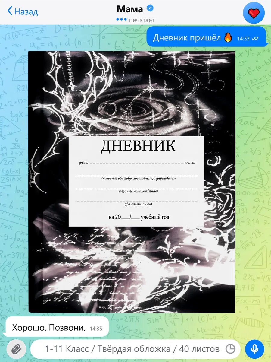 Школьный дневник с принтом y2k pinterest