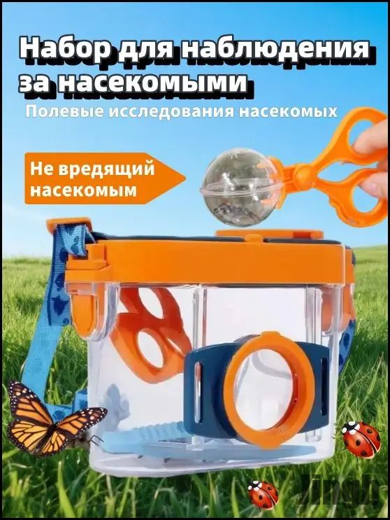 Набор для изучения насекомых с увеличительными стеклами и лупой, развивающий игру для детей от 0 месяцев