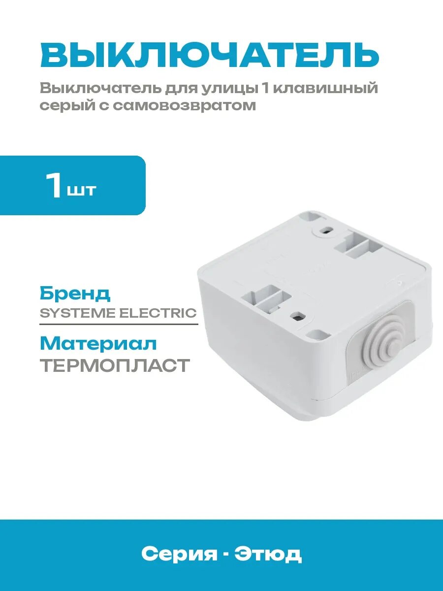 Выключатель накладной 1 клавиша серый с самовозвратом IP44