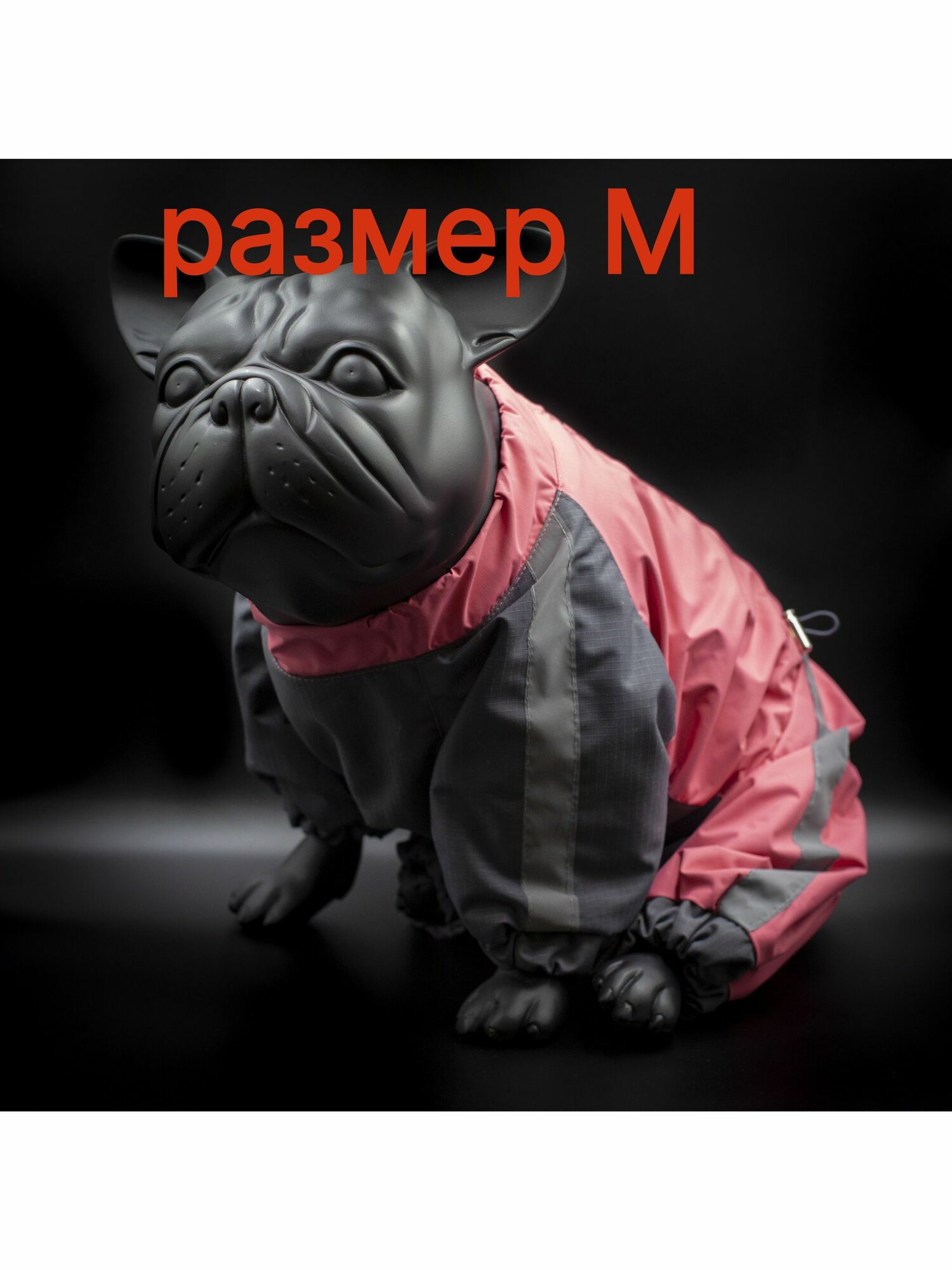 Комбинезон на флисе для Французского Бульдога (для девочки)