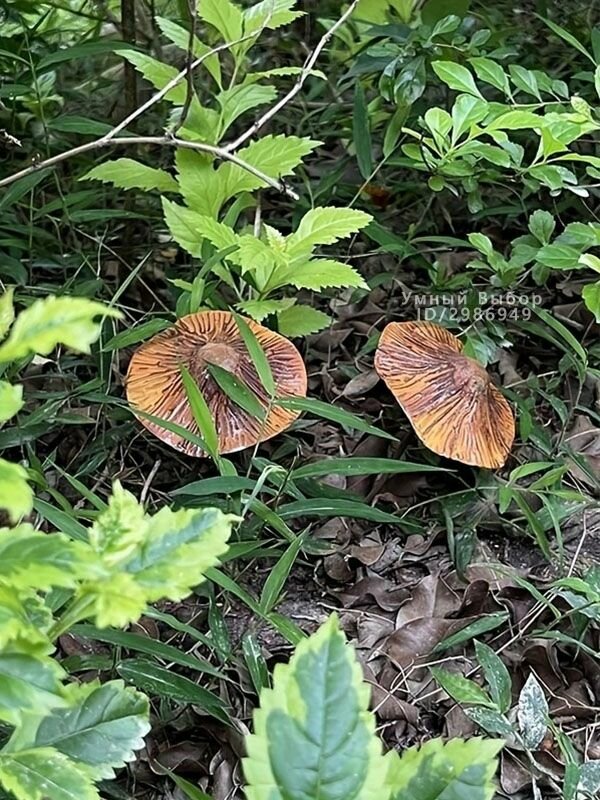 Фигурка садовая — фото 1