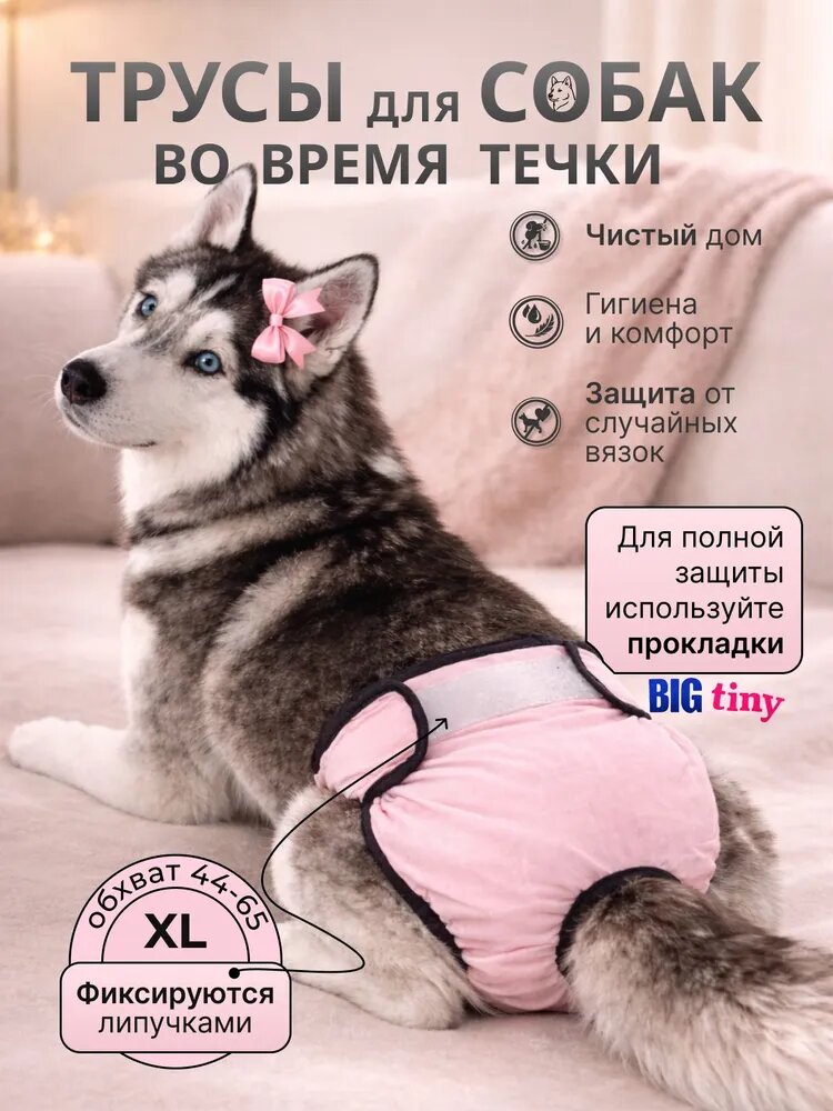 Трусы для собак во время течки XL, для крупных пород, многоразовые гигиенические подгузники