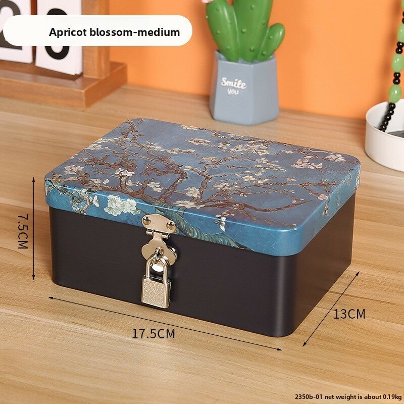 Storage box with lock for office desk and makeup organizer style2, modern simple