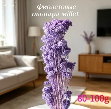 Сухоцветы