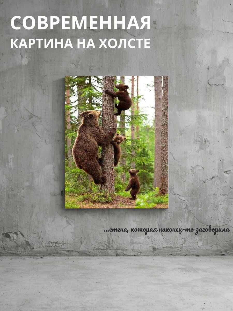 Картина на холсте Медведи в лесу 20x30 см