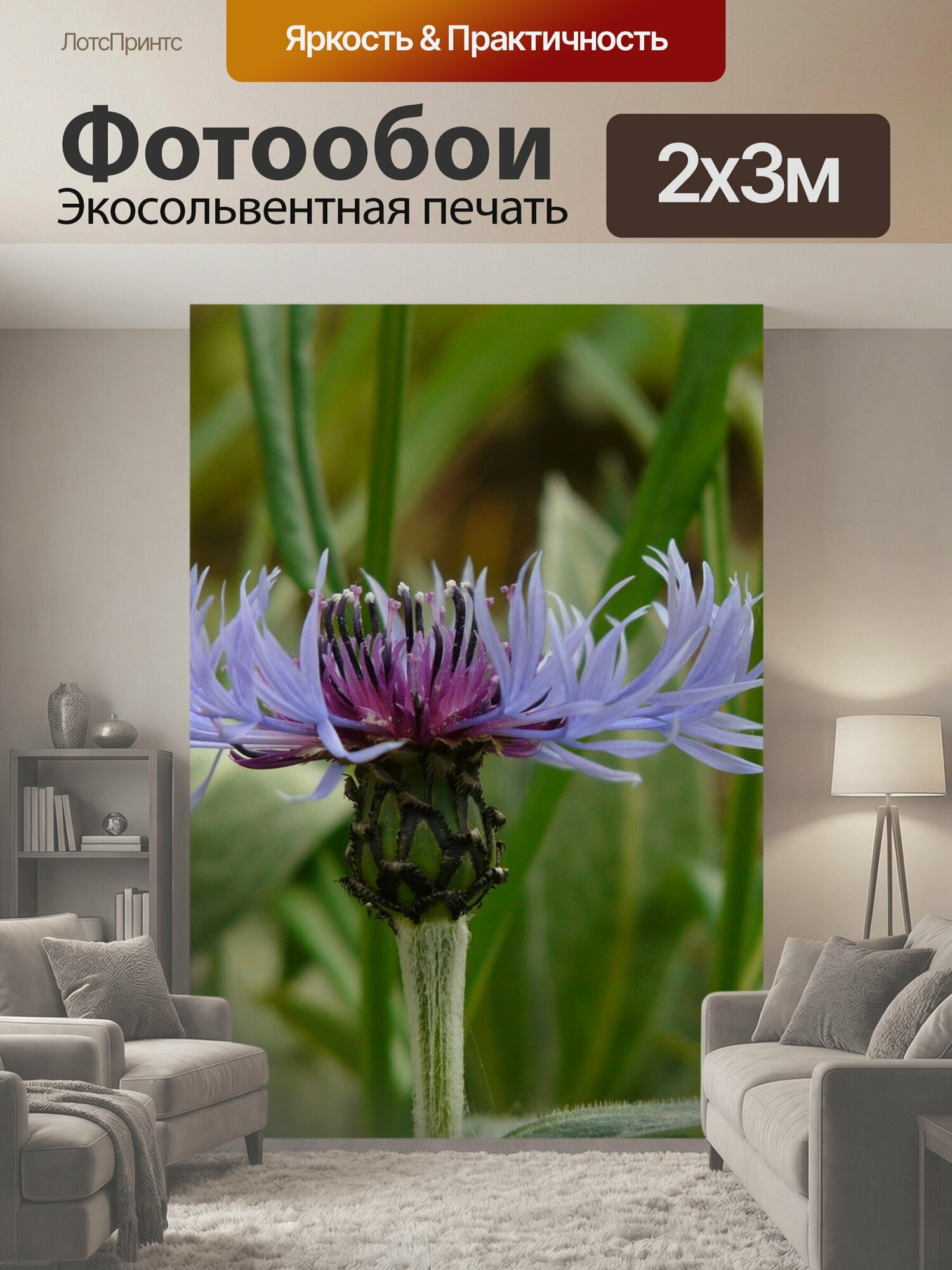Фотообои "Василек, синий, цветок" 200x300 см. экосольвентная печать