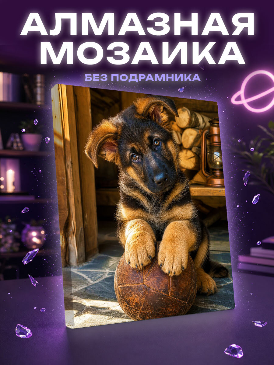 Алмазная мозаика Щенок у старого мяча