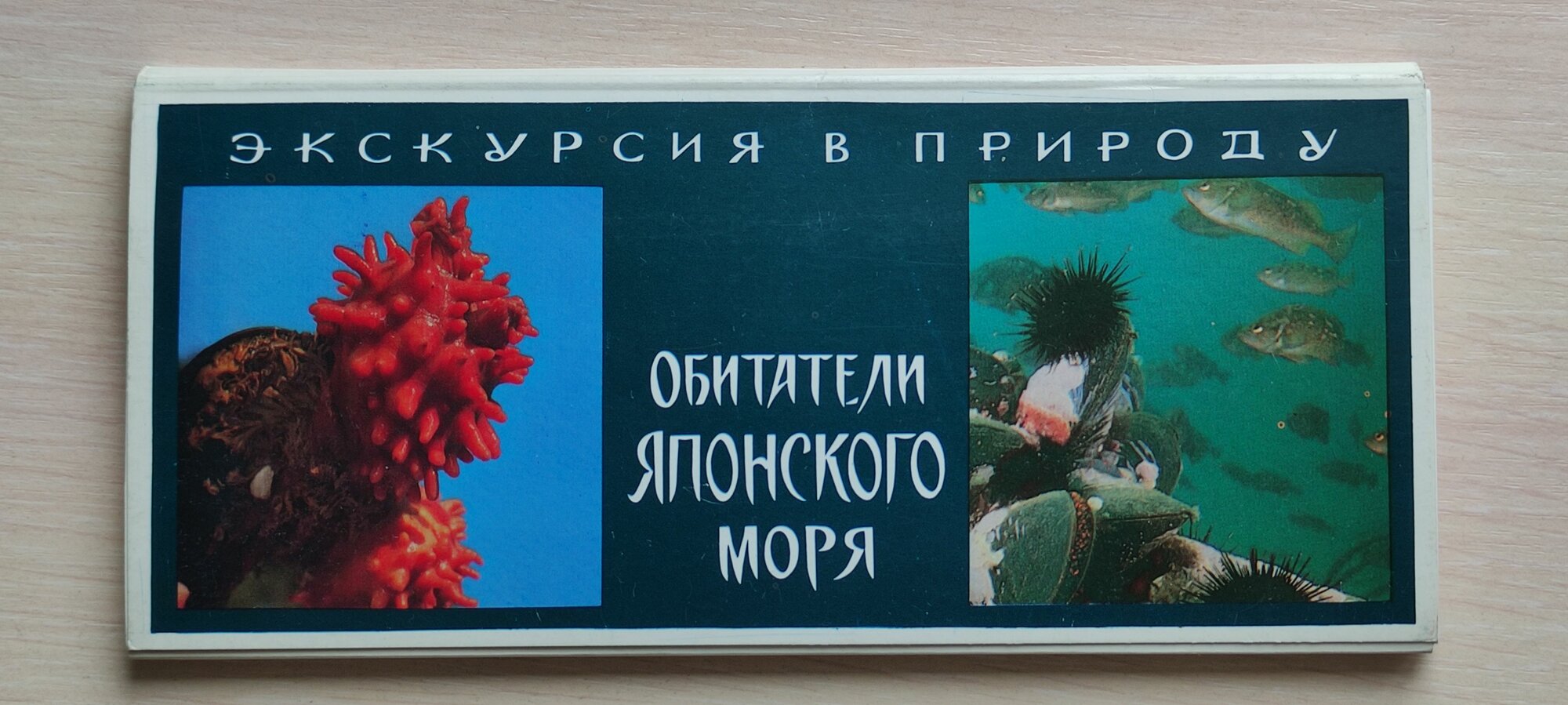 Набор открыток 1977. "Обитатели Японского моря". 21 шт. В идеале! См фото - редкость