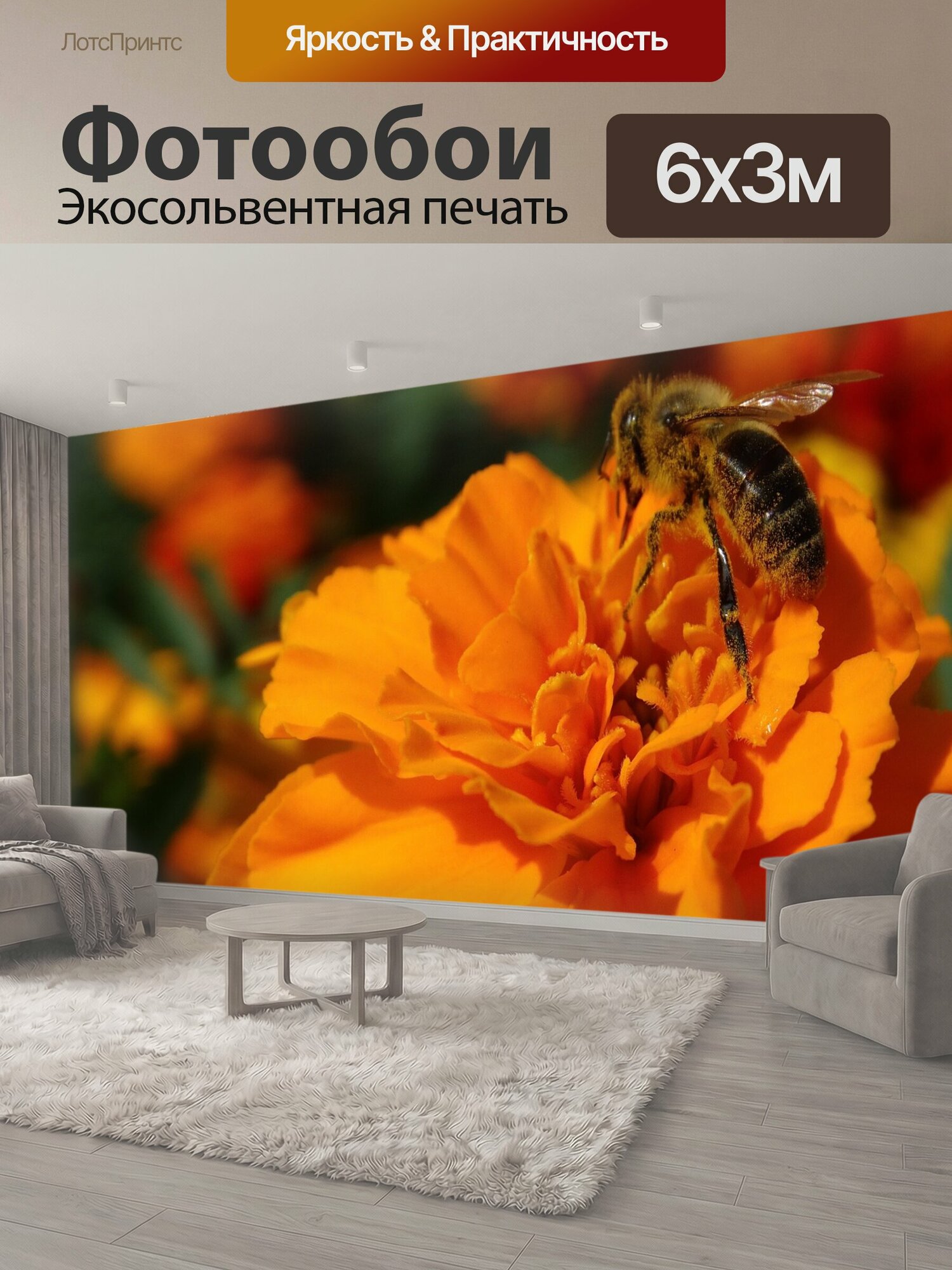 Фотообои "Бархатцы, цветок, цвести" 600x300 см. экосольвентная печать