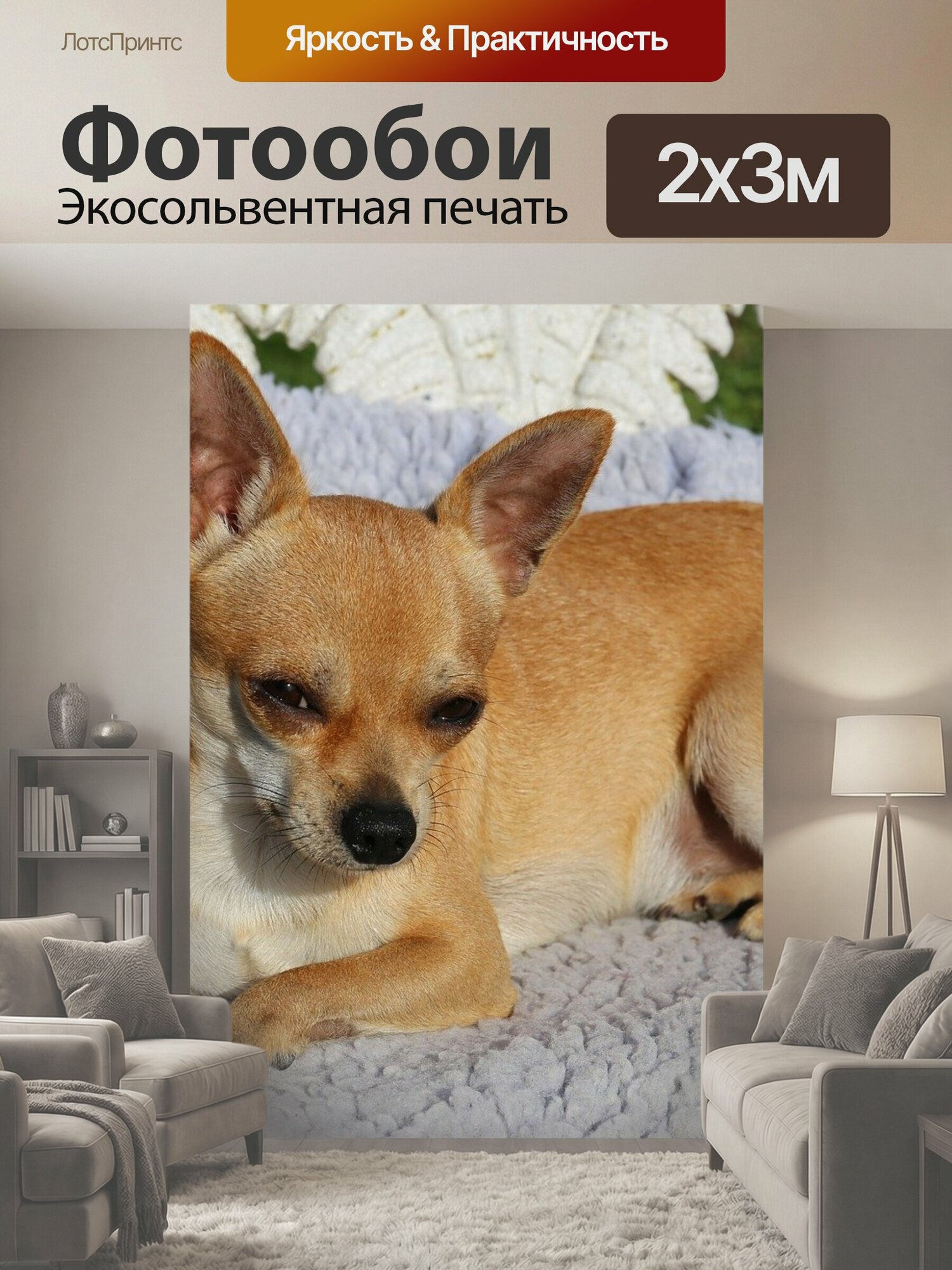 Фотообои "Чихуахуа, соболь, собака" 200x300 см. экосольвентная печать