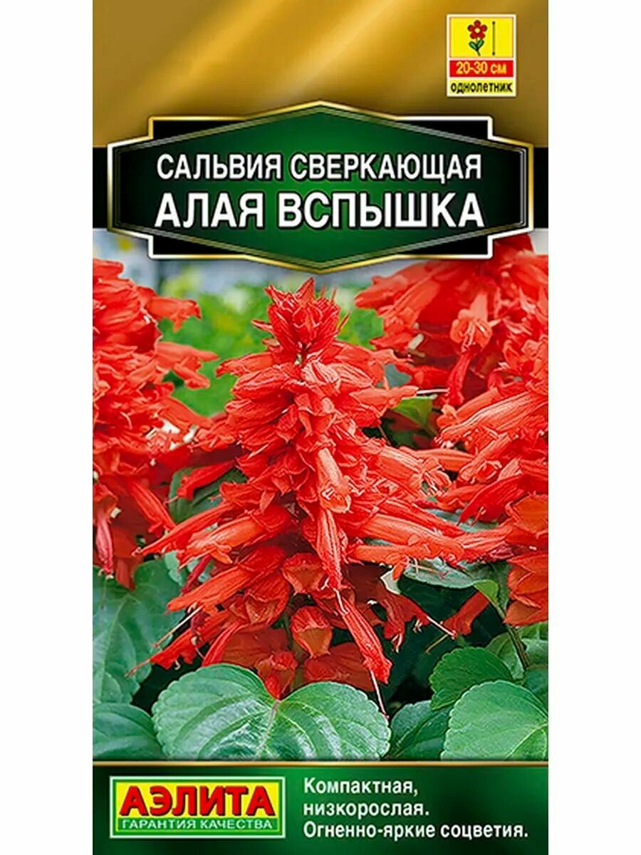 Семена "Сальвия сверкающая Алая вспышка"