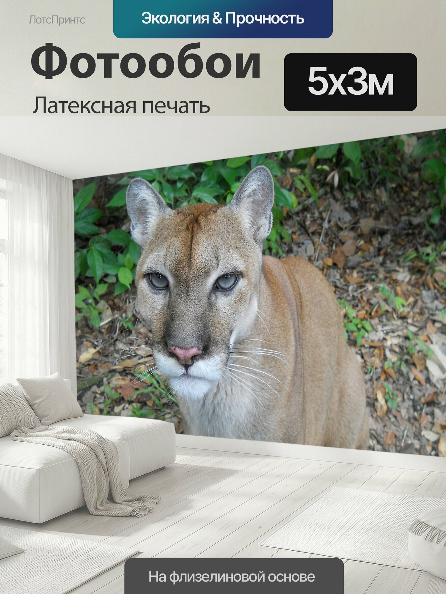 Фотообои моющиеся ударопрочные "Пума, кошка, дикая природа" 500x300 см. латексная печать