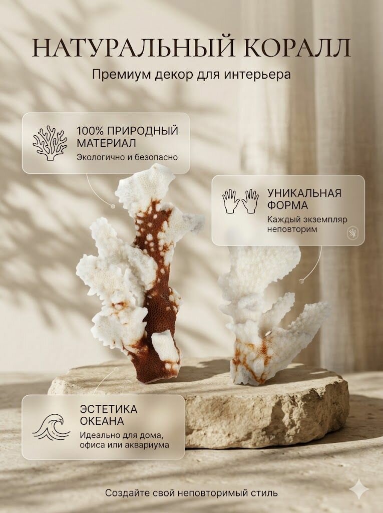 Натуральный материал "коралл не подвергался обработке (20-39 г 1 шт) необработанный коралл природный коралл 20-39 грамм