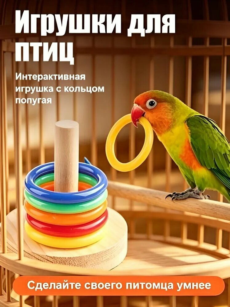 Интерактивная игрушка для попугаев и птиц, развивающая игрушка с кольцами для клетки
