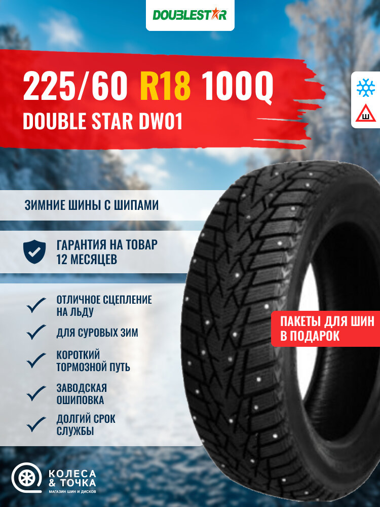 DOUBLE STAR DW01 225/60R18 100Q (зима / шипы) (334730)