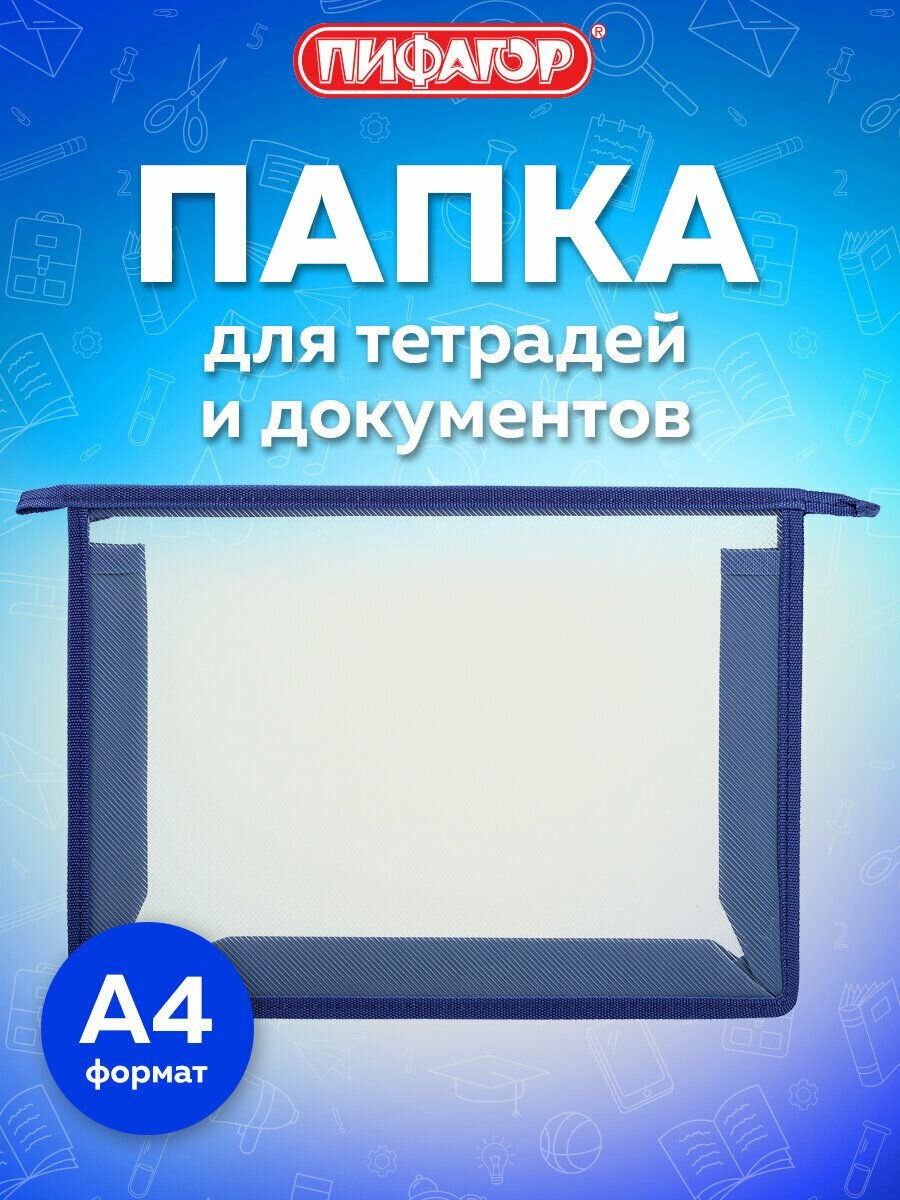 Папка для тетрадей, труда, рисования и изо А4 для девочек и мальчика на молнии прозрачная синяя, канцелярия для школы, 1 отделение пластик, Пифагор детская универсальная