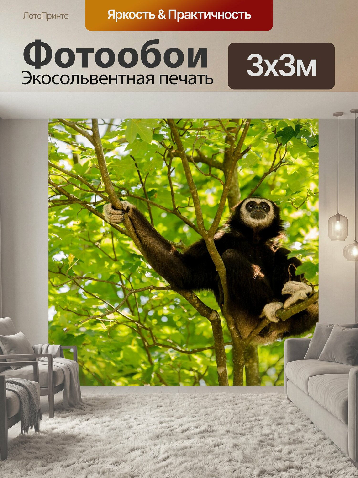 Фотообои "Гиббон, белорукий гиббон, примат" 300x300 см. экосольвентная печать