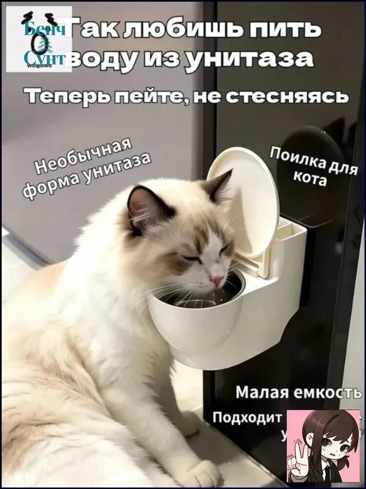 Поилка для кота подвесная кошачий кормушок в форме унитаза
