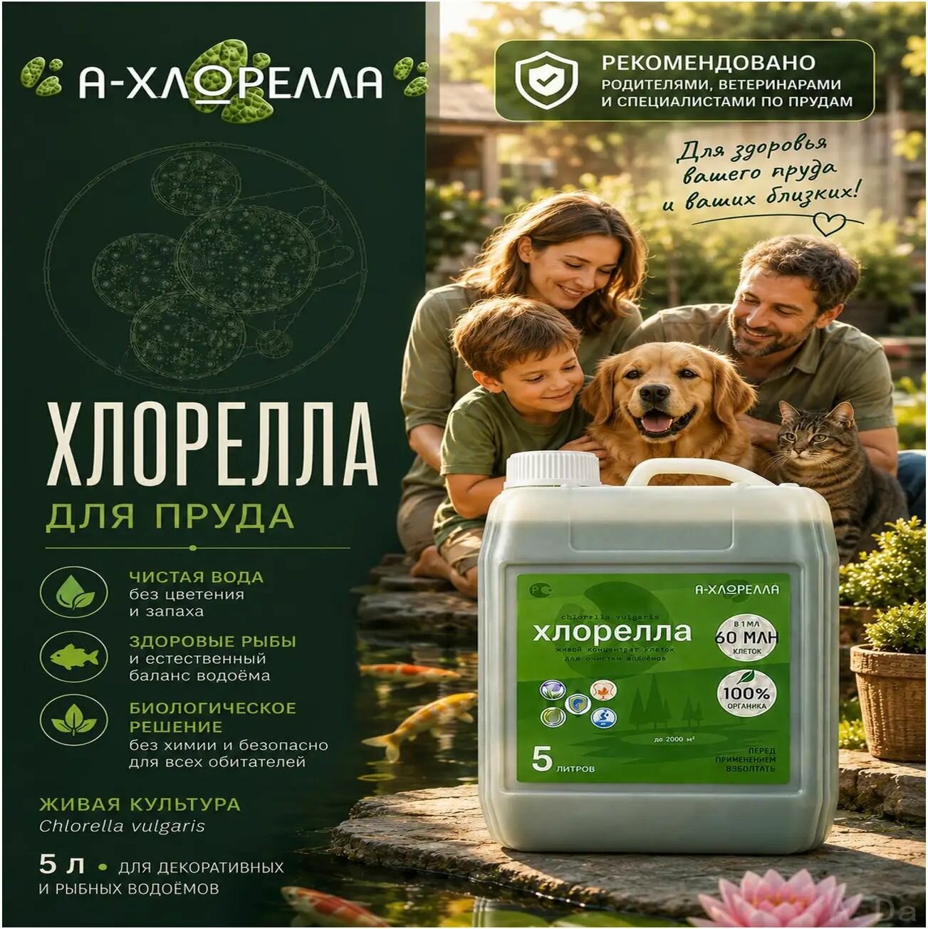 Хлорелла для пруда 5 л а-хлорелла, живая Chlorella vulgaris, биопрепарат от цветения воды