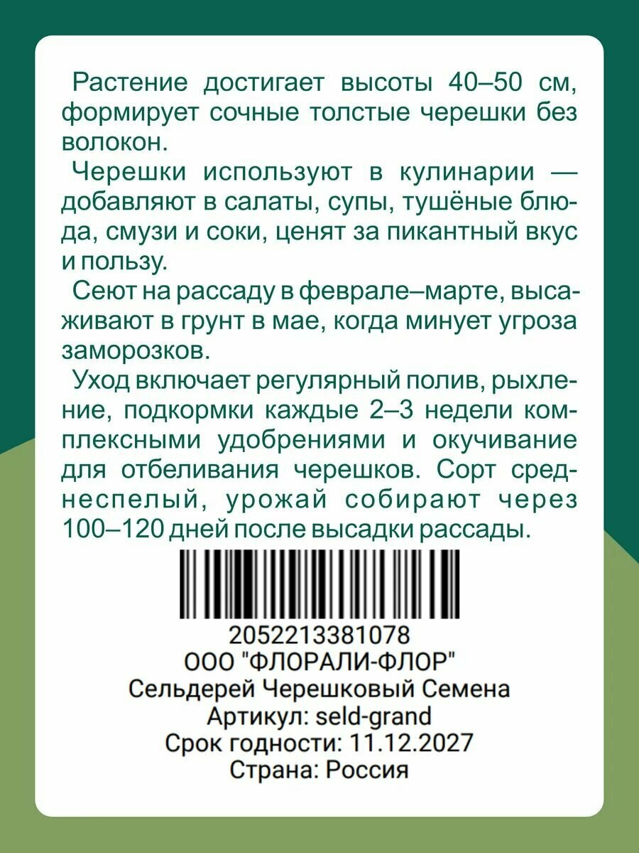 Сельдерей Черешковый Семена — фото 1