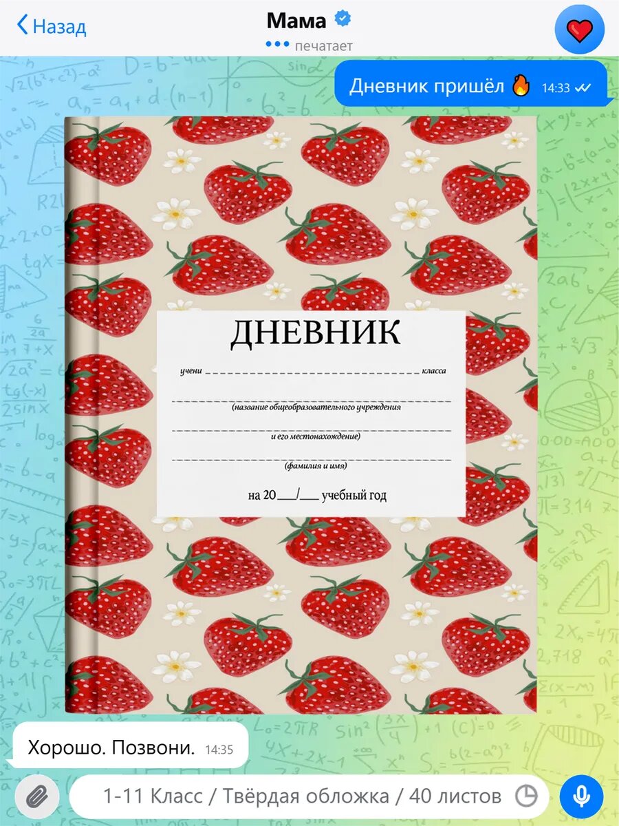 Школьный дневник с принтом y2k pinterest