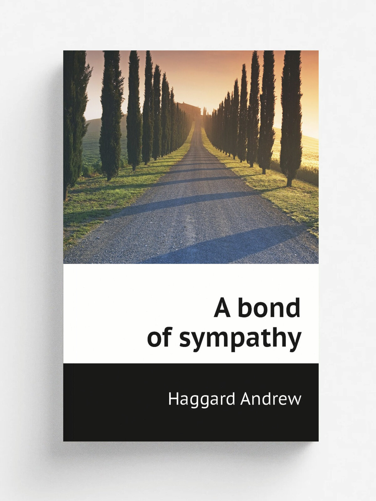 A bond of sympathy | Haggard Andrew | Репринт
