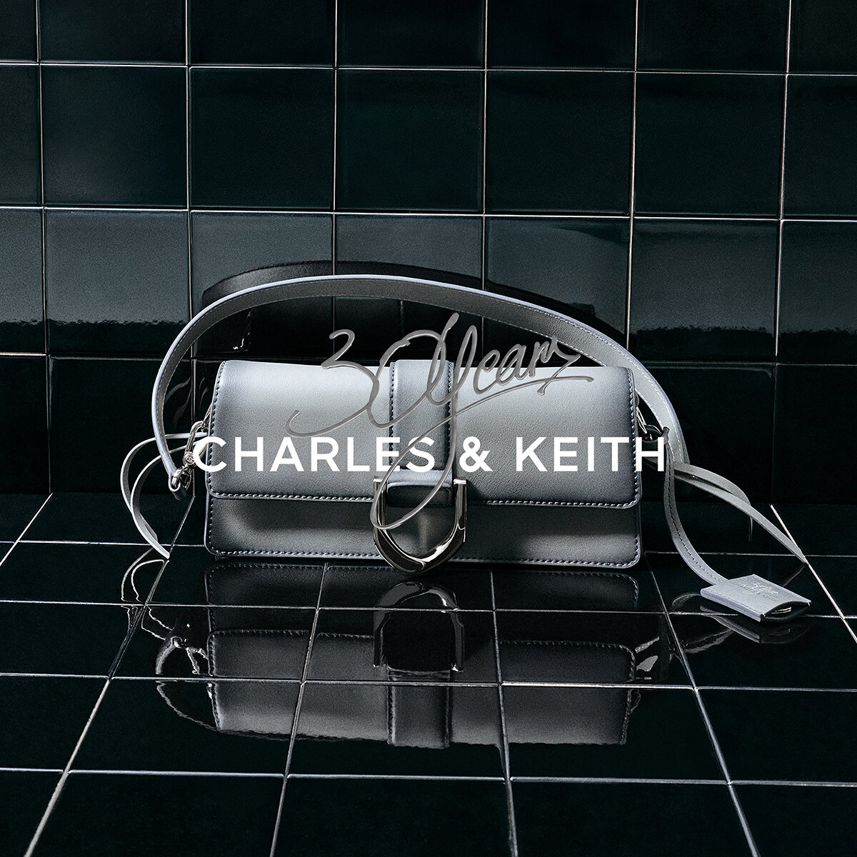 Сумка CHARLES & KEITH — фото 1