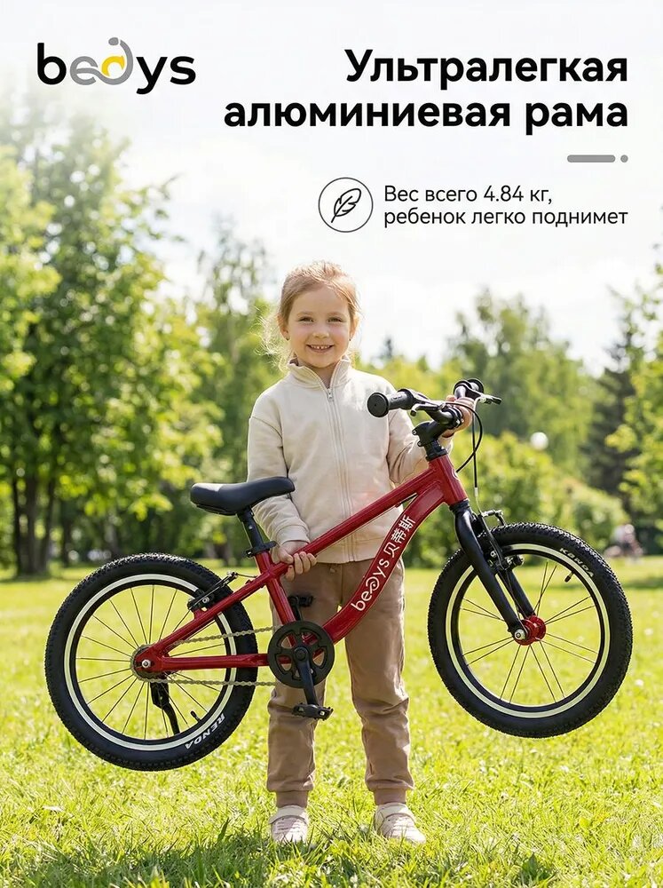 Bedys Велосипед , BCQ02