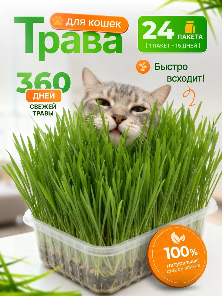 Трава для кошек и других питомцев. 360 дней свежей травы. Лакомство для кошек (овёс, пшеница, ячмень). Набор для выращивания