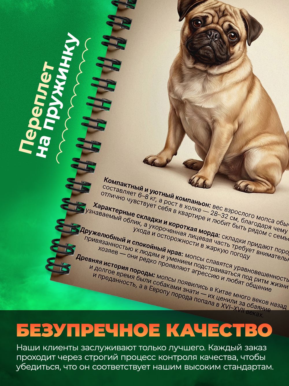 Тетрадь - А5 - Мопс — фото 1