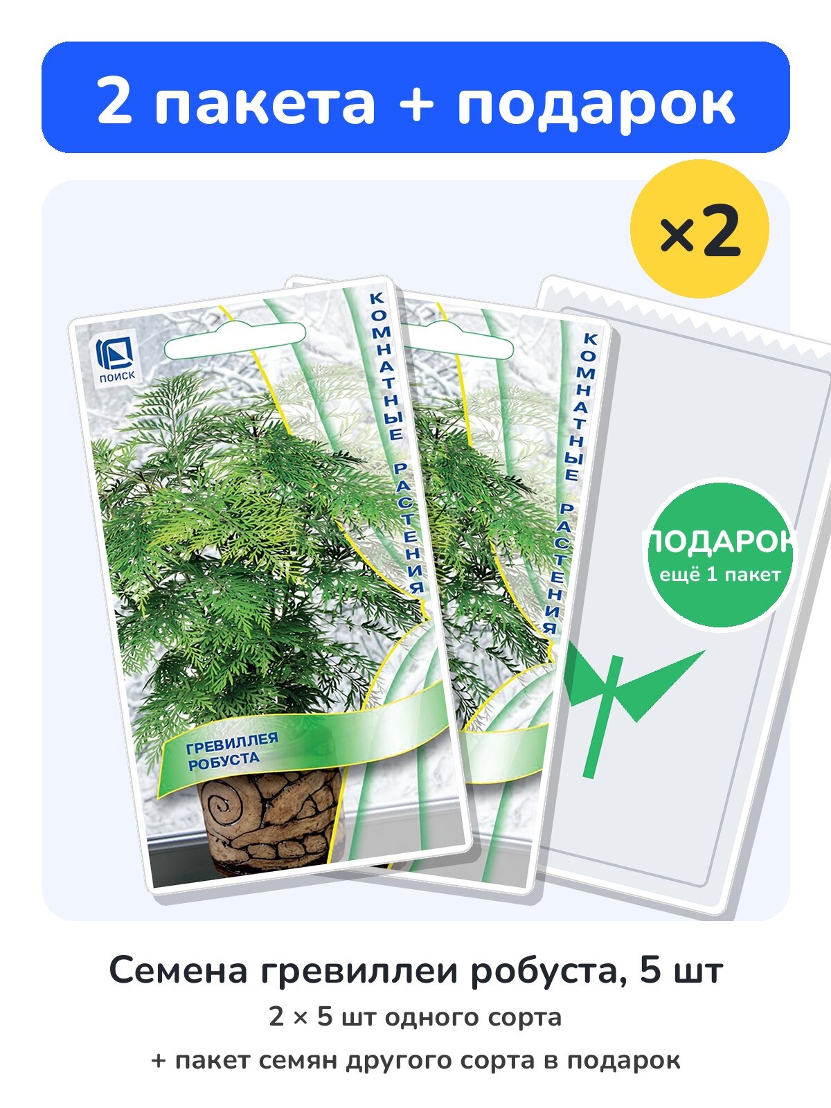 Семена гревиллеи робуста, 5 шт, 2 пакета, Поиск, многолетник, высота до 100 см, посев на рассаду в январе–марте — фото 1