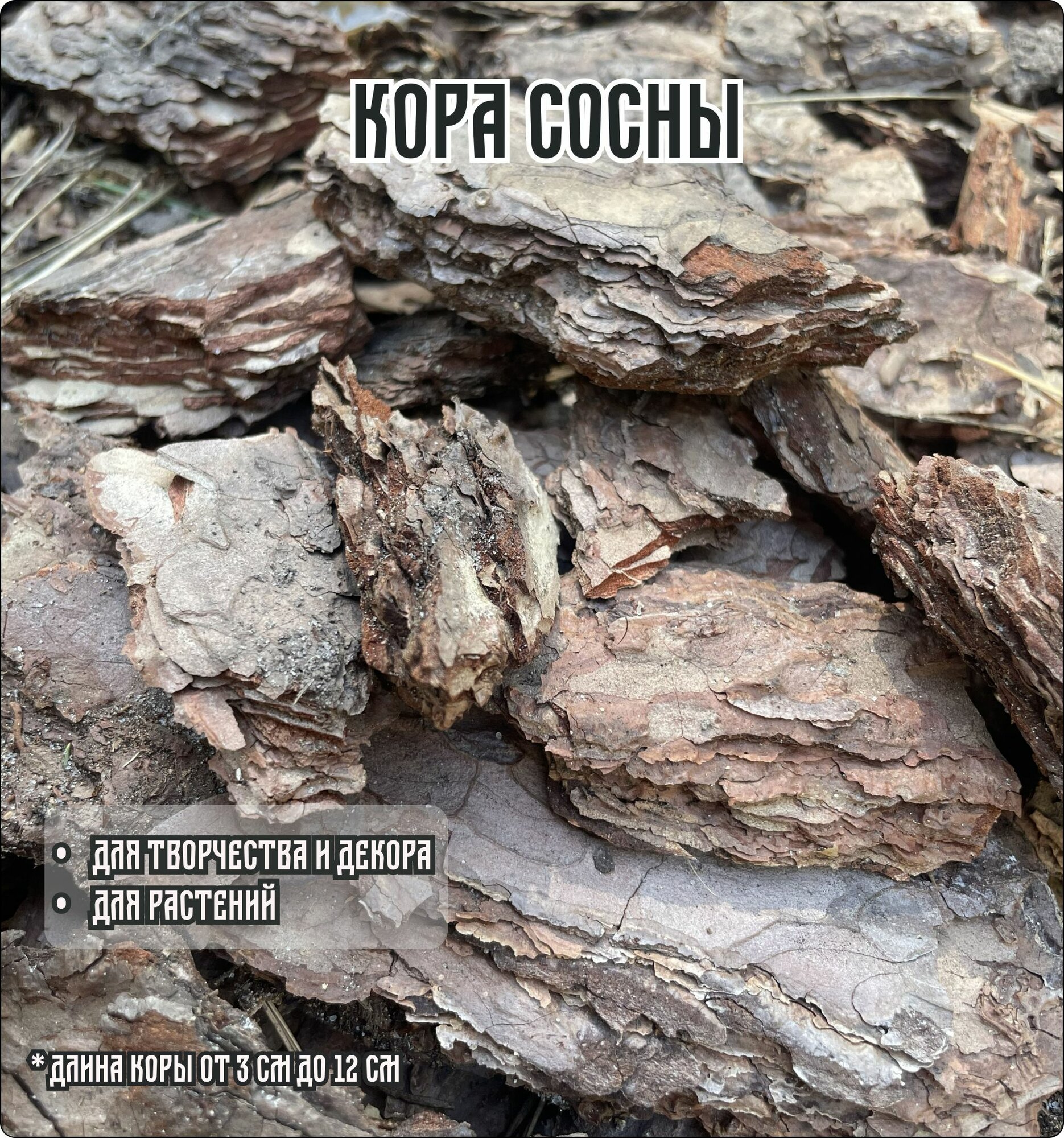 Кора сосны для декора, рукоделия, растений