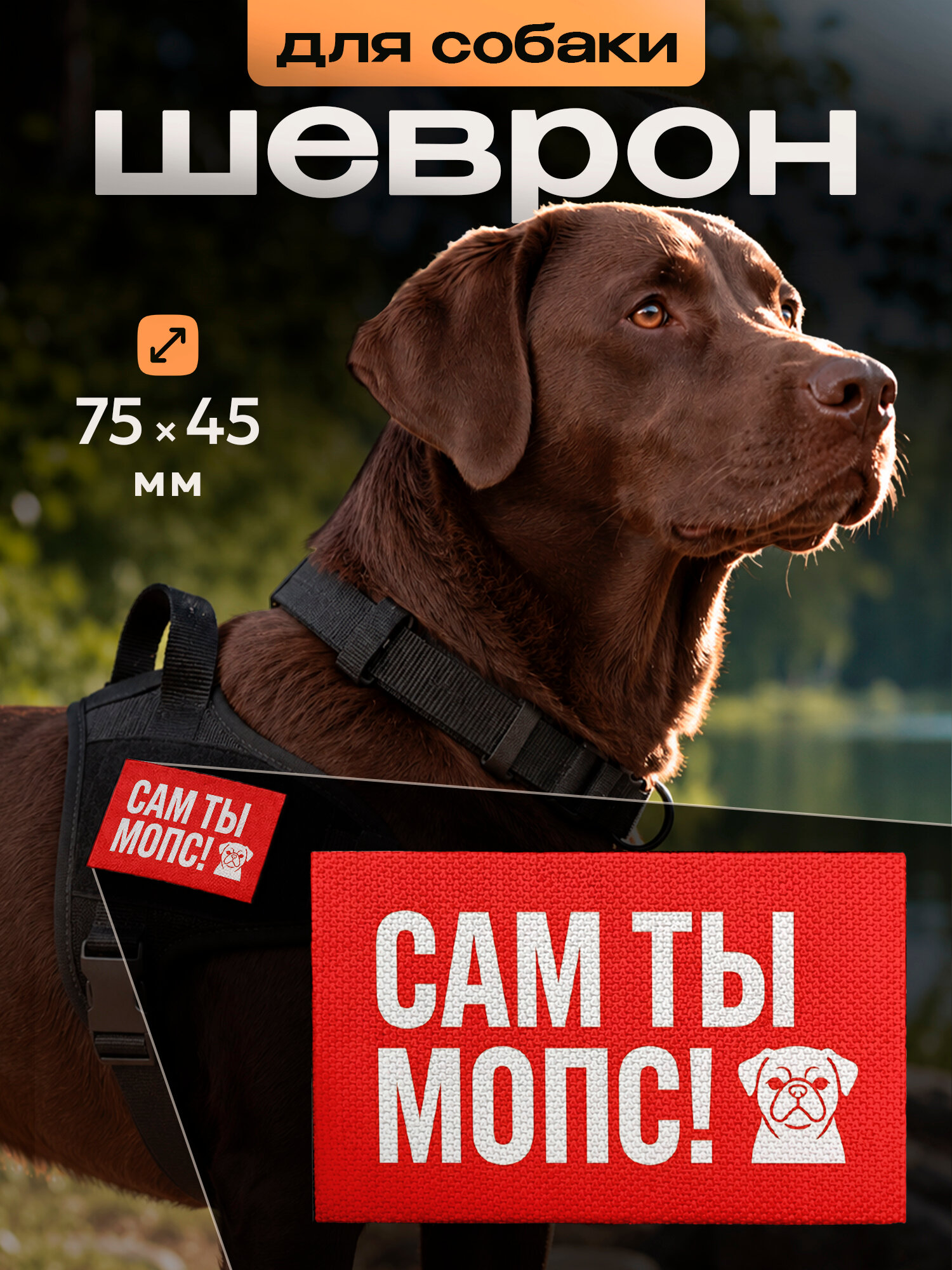 Шеврон IREVIVE, Сам ты мопс , на липучке, для формы, военному