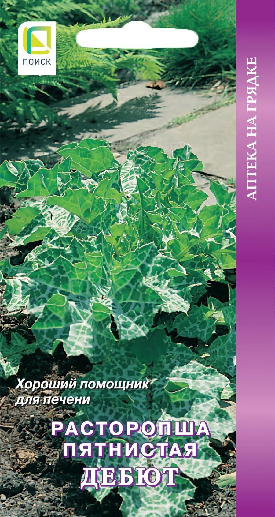 Семена расторопши пятнистой Дебют, 0,5 г