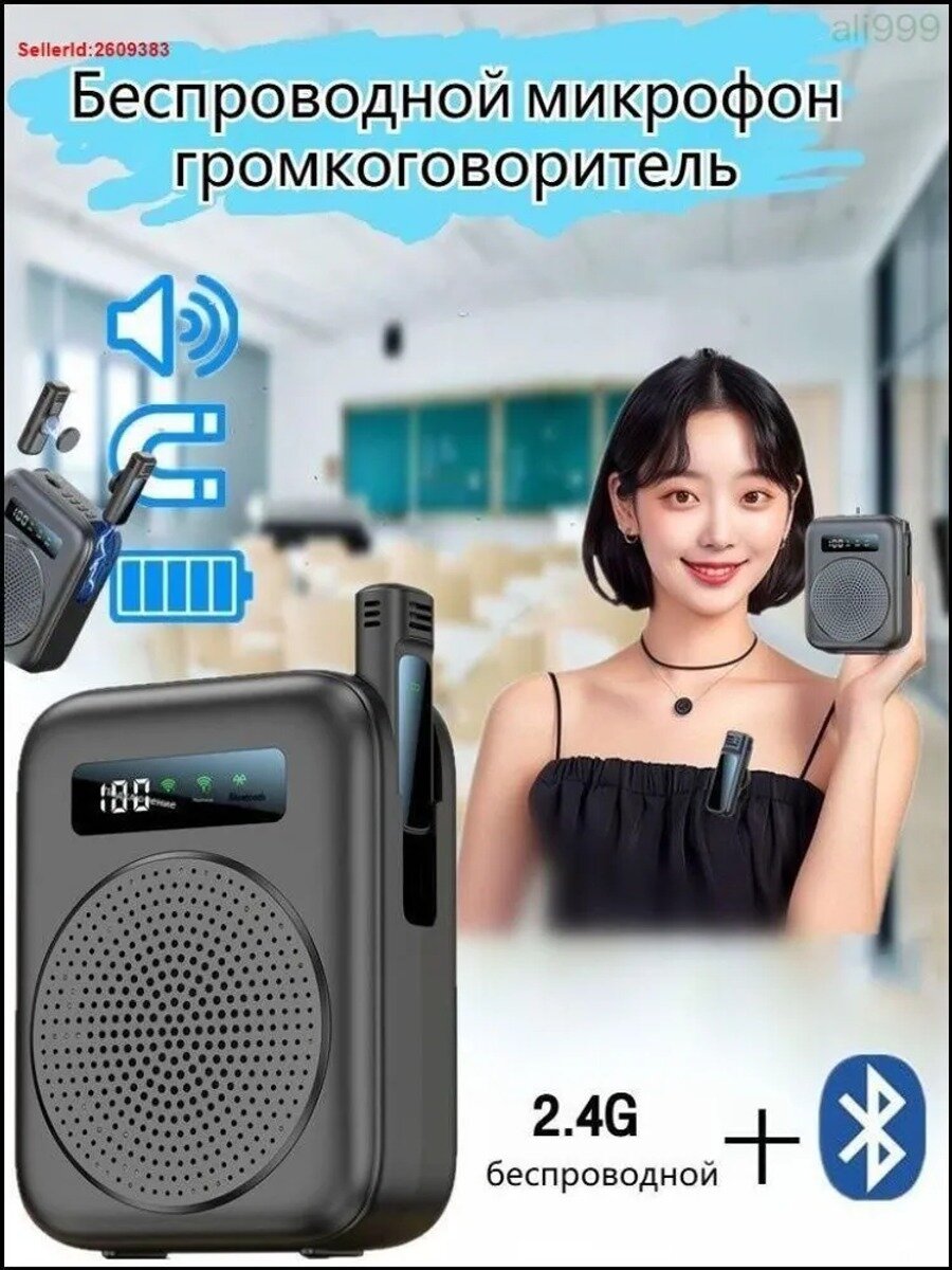 Портативный звуковой прибор с беспроводной петличкой и парой микрофонов, 5 Вт, Bluetooth 5.2