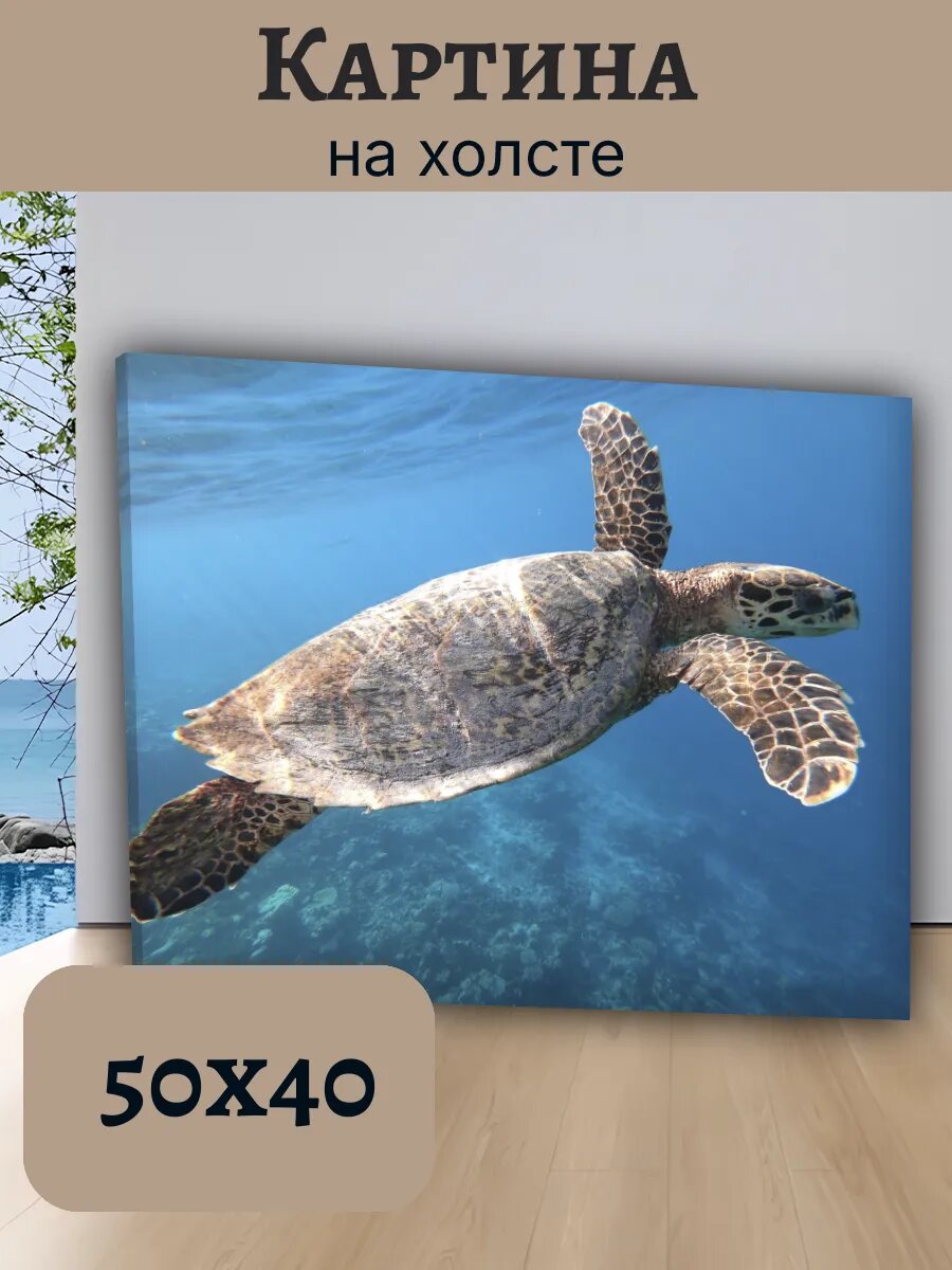 Картина Постер Мальдивы 40x50 морская черепаха