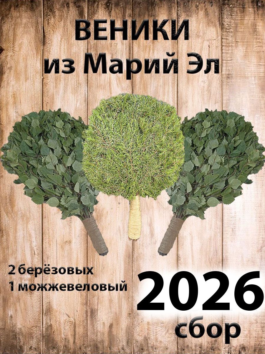 Береза Веник для бани Березовый, Можжевеловый, 3 шт.