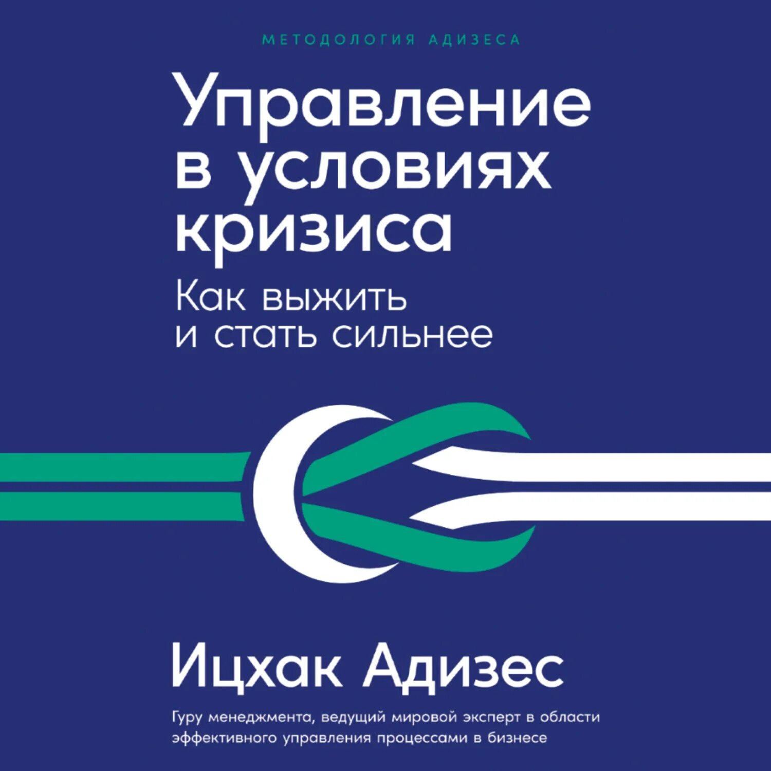 Управление в условиях кризиса: Как выжить и стать сильнее [Аудиокнига]
