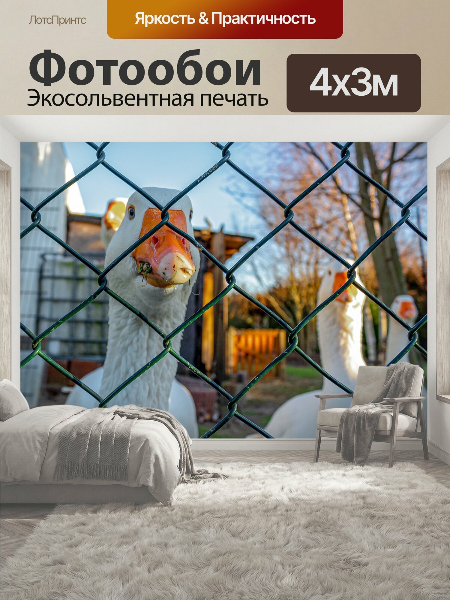 Фотообои "Гуси, животное, птицы" 400x300 см. экосольвентная печать