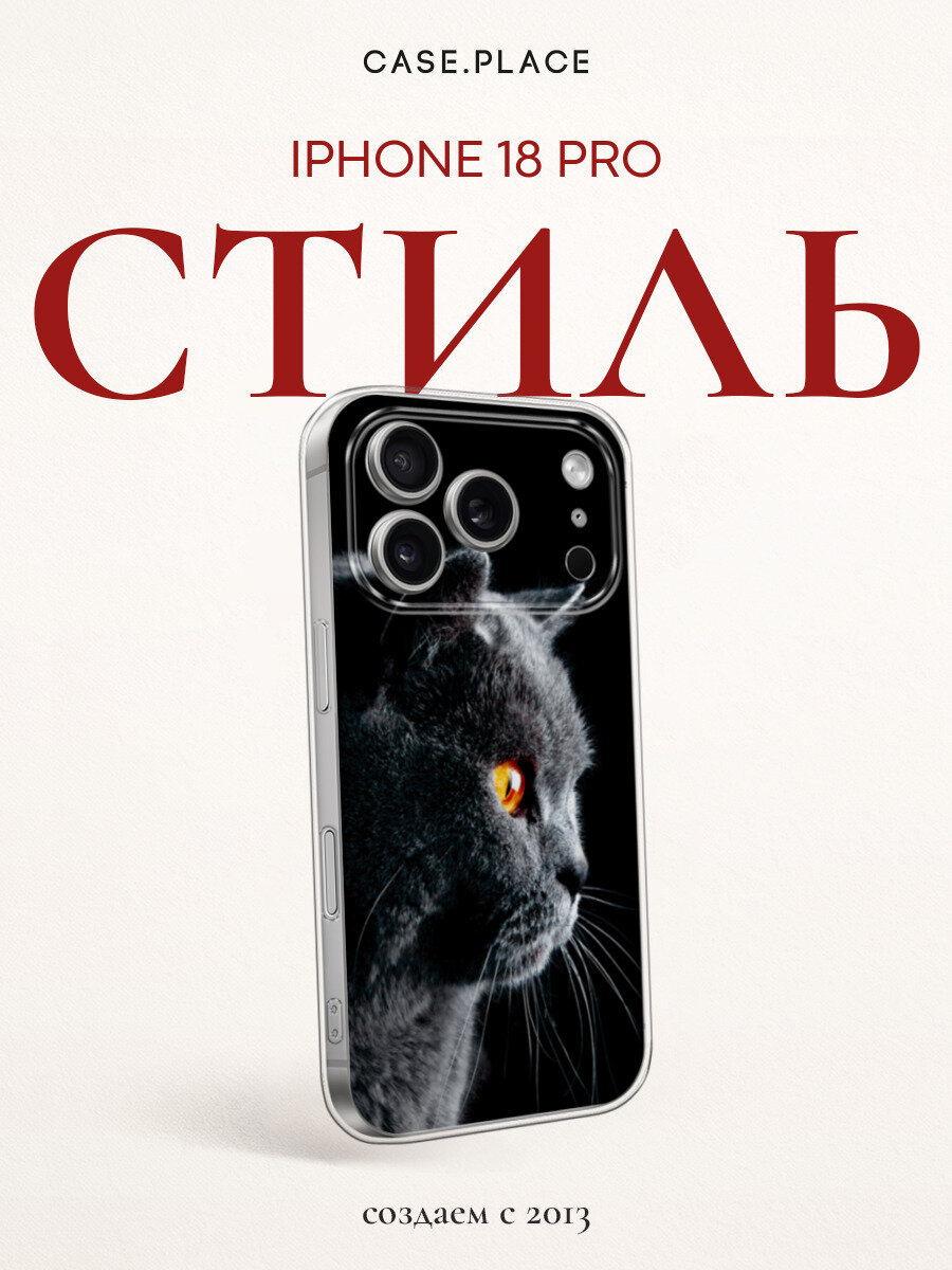Чехол на iPhone 18 Pro / Айфон 18 Про с принтом Благородный кот британец