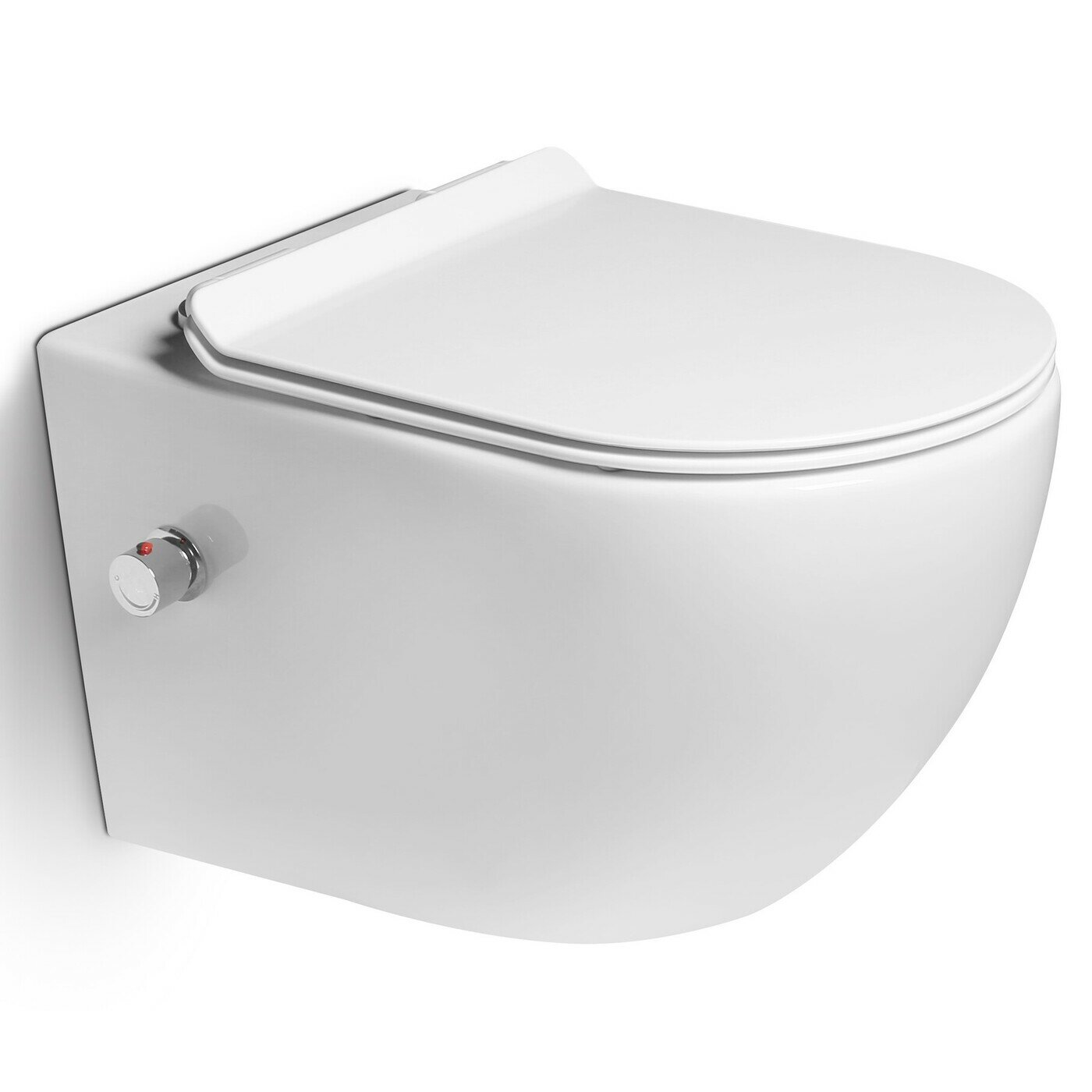 Подвесной унитаз SantiLine SL-5002T-SM/BD