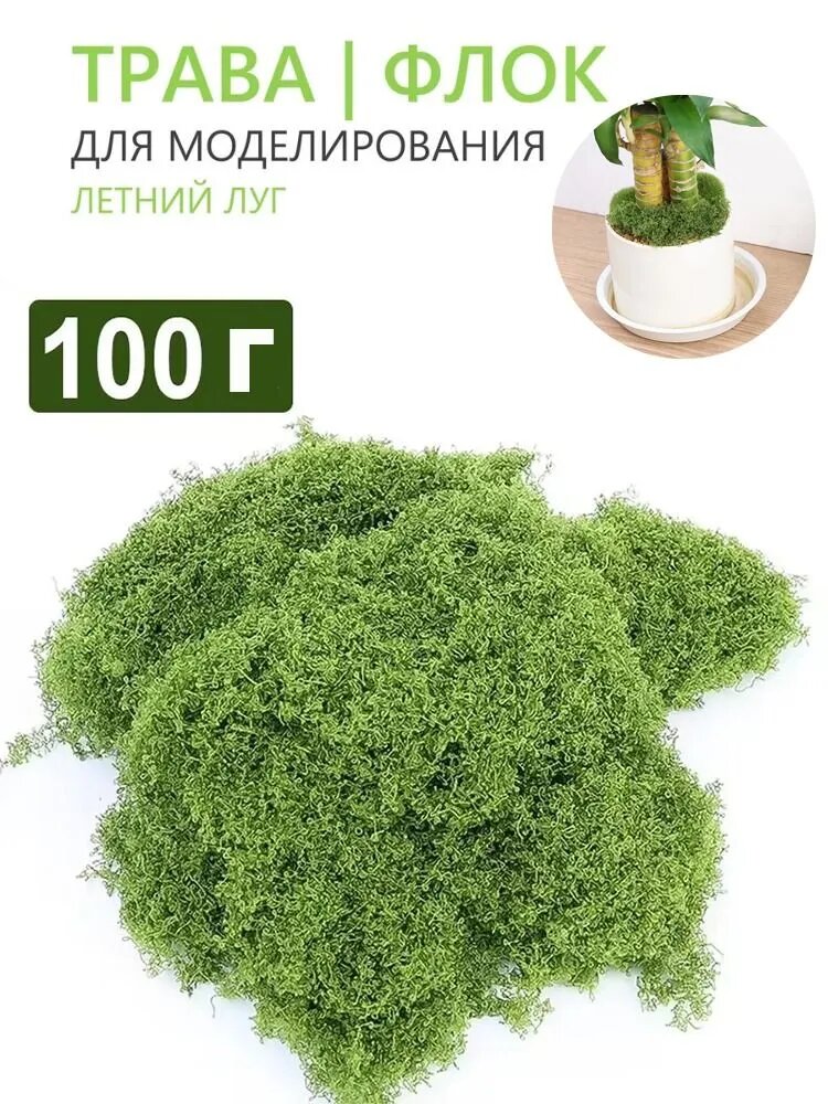 Стабилизированный мох Мох