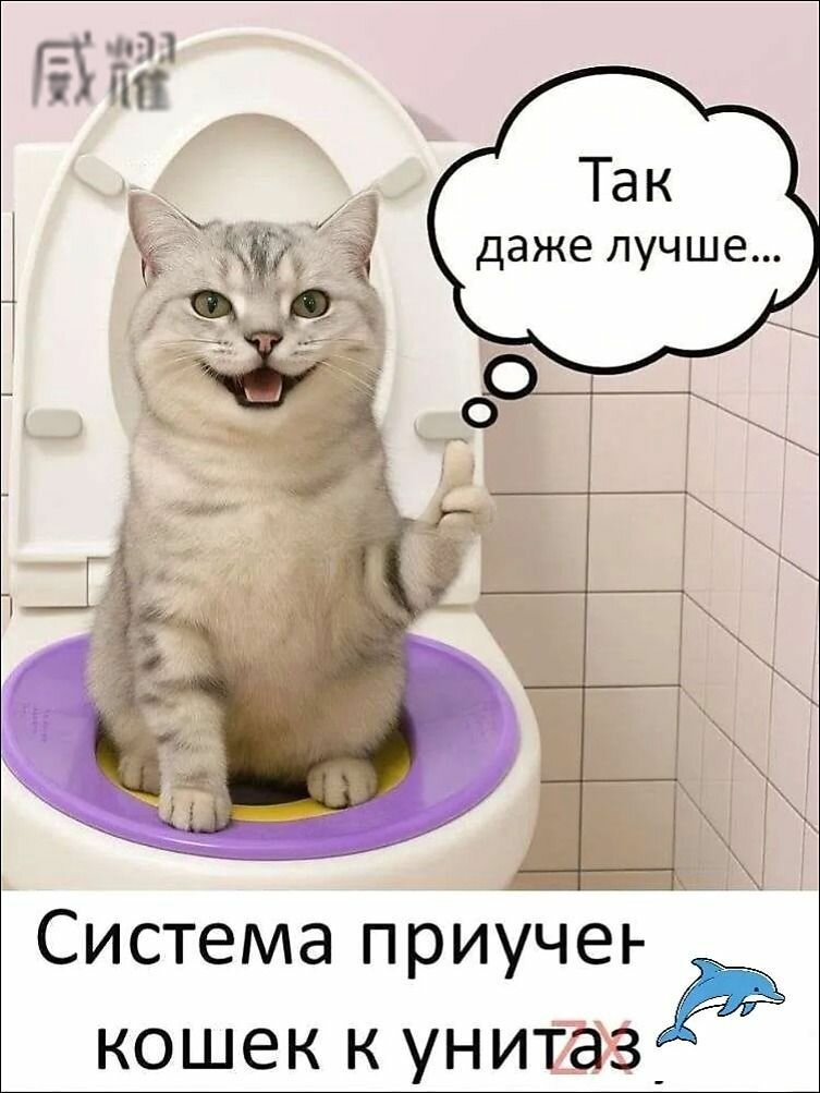 CHUZX02Система приучения кошек к унитазу, лоток на унитаз для кота