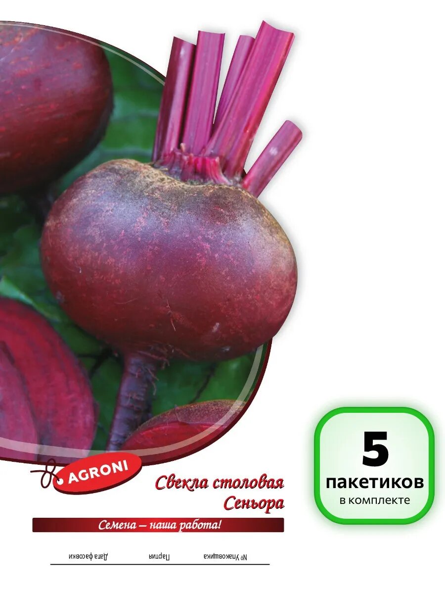 (5 шт.) - Семена Свекла столовая Сеньора (2,0г)
