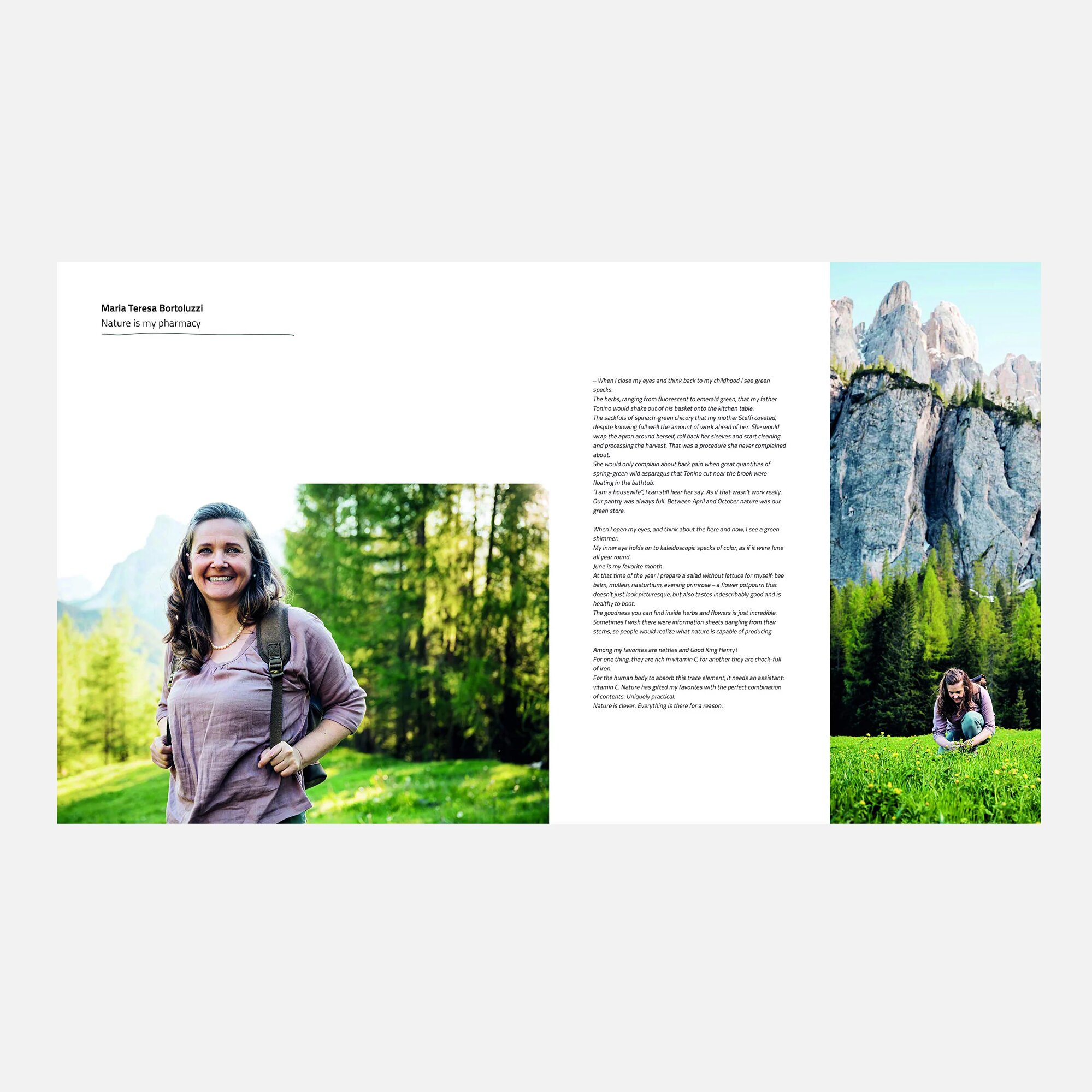 Cook the Mountain: The Nature Around You