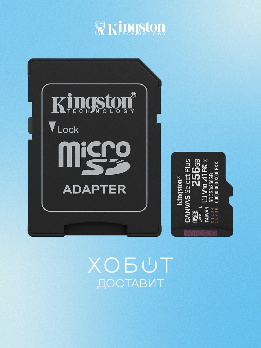 Карта памяти Kingston Canvas Select Plus microSDXC 256GB Gen3 (SDCS3/256GB)