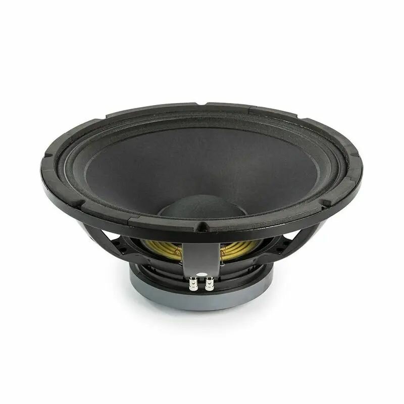 Динамик Eighteen Sound 18W1001/8