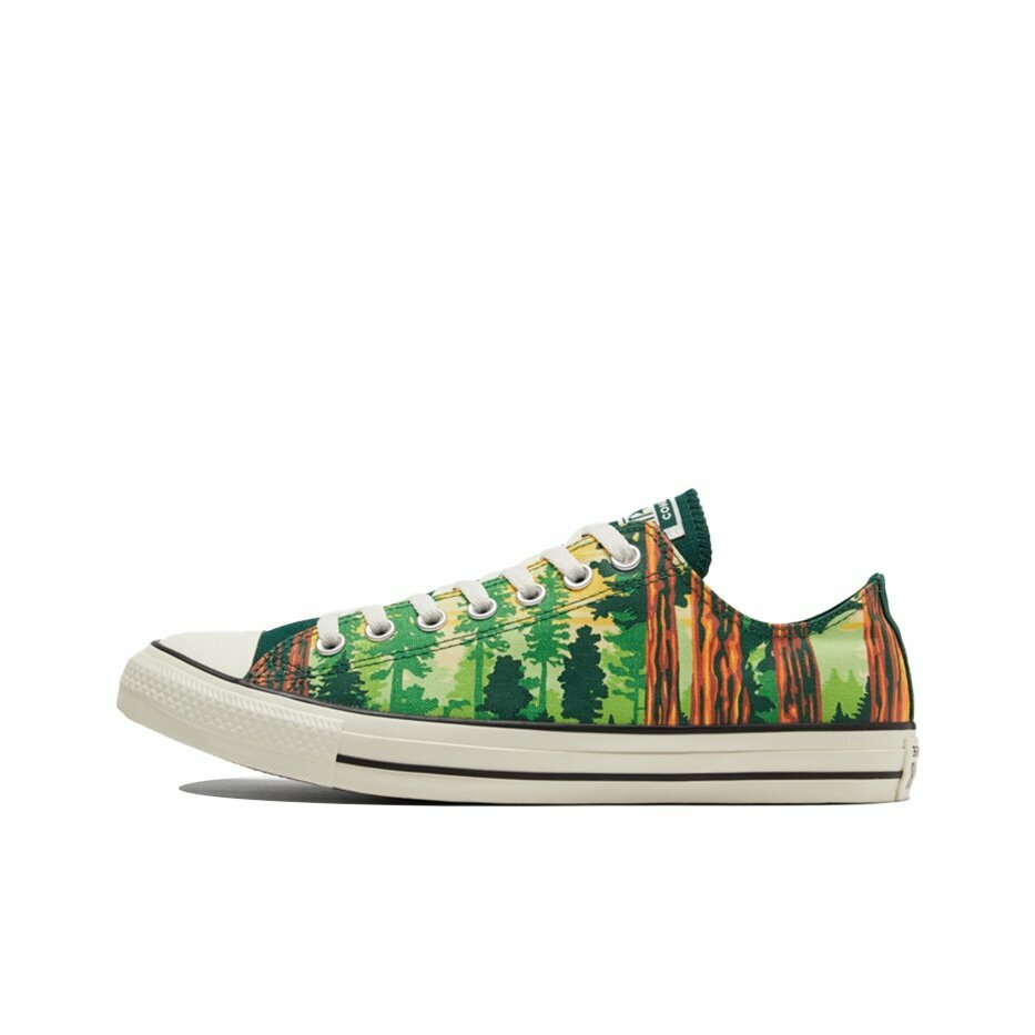 Кеды Converse Chuck Taylor All Star