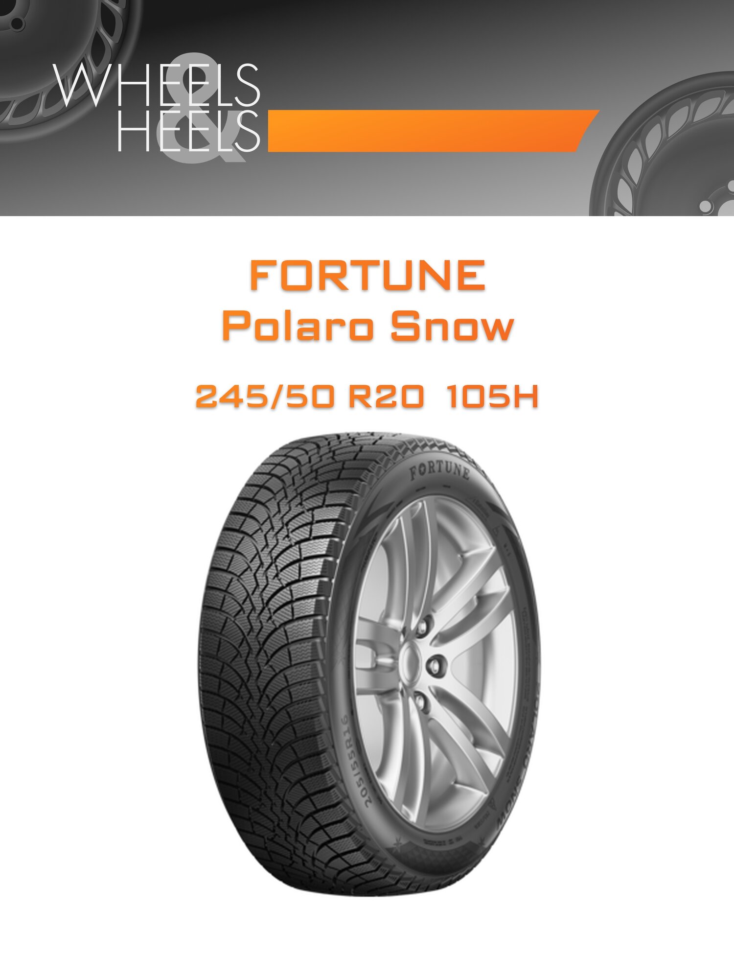 Шина автомобильная Fortune Polaro Snow 245/50 R20 105H WINTER, зимняя, универсальная