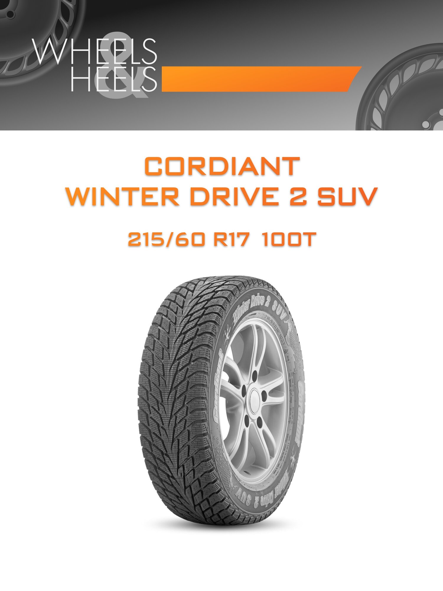 Шина автомобильная CORDIANT WINTER DRIVE 2 SUV 215/60 R17 100T WINTER, зимняя, универсальная